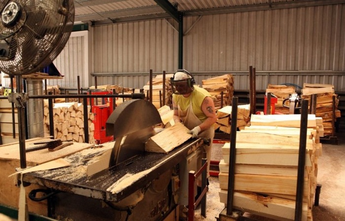 Inside a cricket bat manufacturing workshop | Amusing Planet